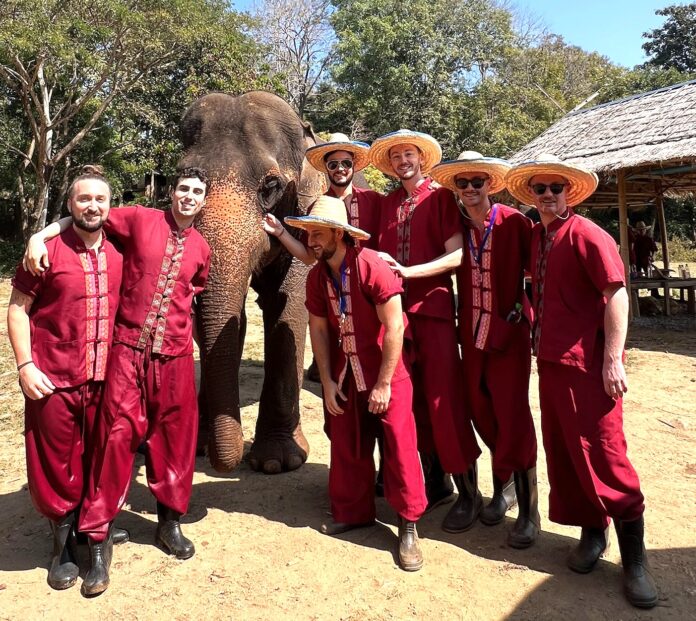 What Thailand taught a gay traveller who just can’t say no - Pink ...